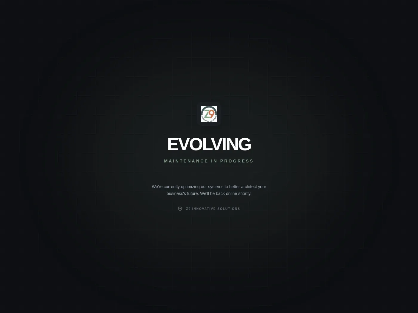 Z9 AI Consulting Site